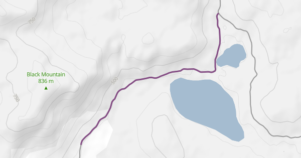 Old Greenough Pond Road Multi Trail - Wentworth Location, NH