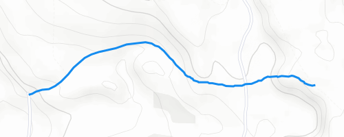 Edgehill School Experimental Forest Multi Trail - Powell River
