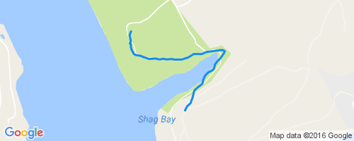 Shag Bay Shuffle Mountain Biking Trail - Hobart
