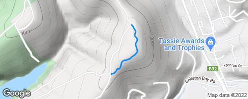 Shag Ridge Descent Mountain Biking Trail - Hobart