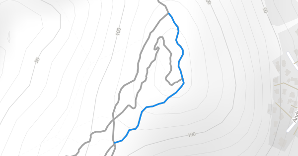 Shag Ridge Descent Mountain Biking Trail - Hobart