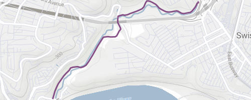 Nine Mile Run Trail Multi Trail - Pittsburgh, PA