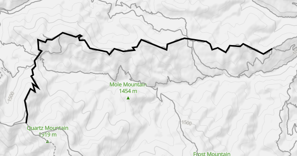 Taneum Ridge Trail Dirtbiking Trail - Cle Elum, WA