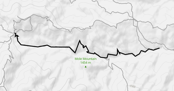 South Fork Taneum Creek Dirtbiking Trail - Cle Elum