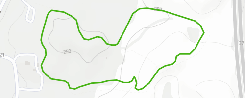 Rose Hill Park Trail Loop Multi Trail - Winchester