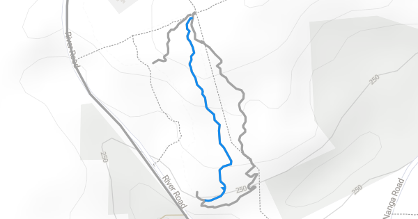 Electric Blue Mountain Biking Trail - | Trailforks