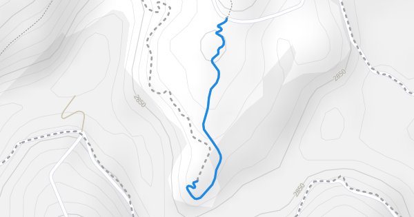 River Traverse Hiking Trail - Amanalco | Trailforks