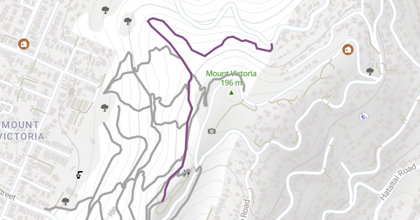 Southern Walkway - North Matairangi Multi Trail - Wellington