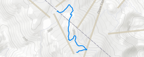 Tamarack Hiking Trail Hiking Trail - South Lake Tahoe