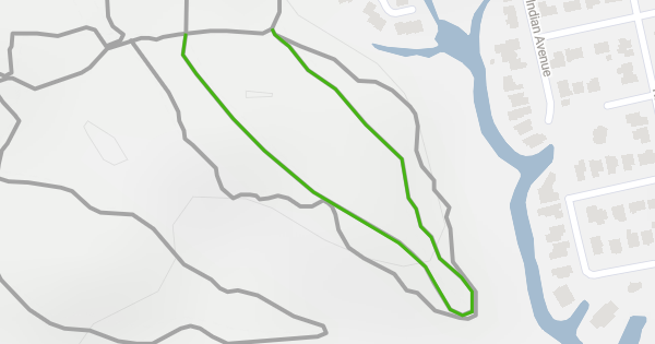 Trail 3 - Marshview Park Mountain Biking Trail - Virginia Beach
