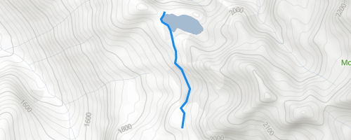 Eva Lake Trail Hiking Trail - Revelstoke, BC