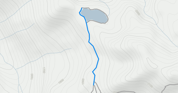 Eva Lake Trail Hiking Trail - Revelstoke, BC