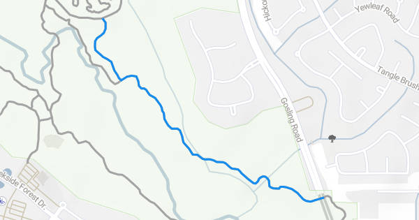 Spring Creek Nature Trail Mountain Biking Trail - The Woodlands