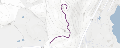 Bicheno Tower Hill Trail Mountain Biking Trail