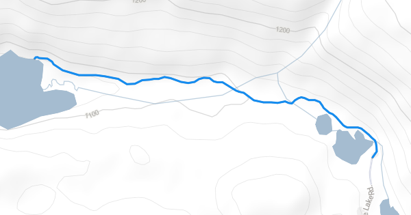 Murtle Lake Trail Hiking Trail - Clearwater, BC