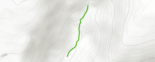 Silvertip Falls Trail Hiking Trail - Valemount, BC