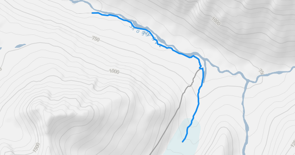 Laughton Glacier Trail Hiking Trail - Skagway, AK