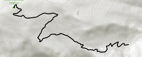Mt Juneau Trail Hiking Trail - Juneau, Alaska