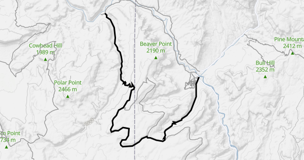 Beaver Creek Loop Multi Trail - Gateway, Colorado