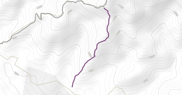 Stewart Head Scree Slope Mountain Biking Trail - Atherton