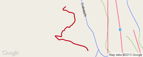 Dirt Merchant Pro-Line Mountain Biking Trail - Whistler
