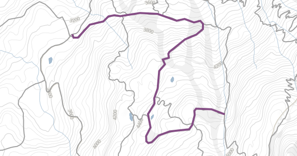 P2C Access Road Multi Trail - Whistler, British Columbia
