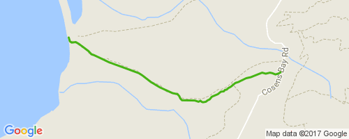 Cosens Bay Express Mountain Biking Trail - Vernon, BC