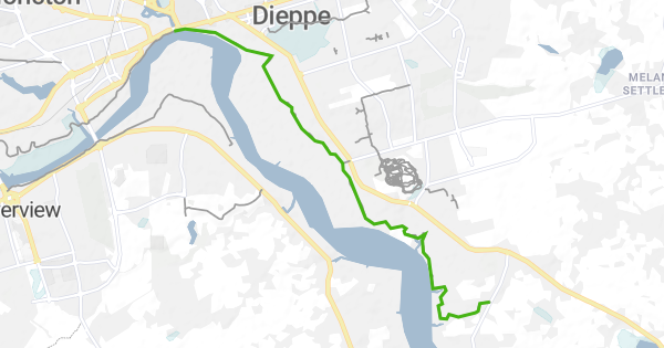 Sentier NB Trail - Dieppe Mountain Biking Trail - - New Brunswick