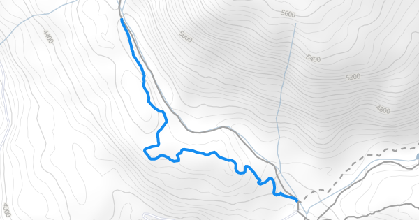 Tora Bora Ridge Multi Trail - Kimberley, British Columbia