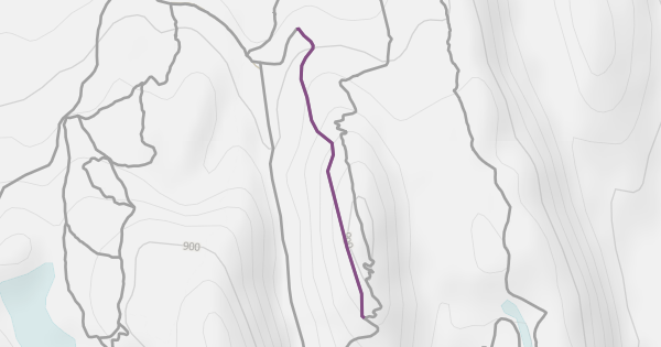 Strawberry Ridge Access Road Mountain Biking Trail - Kaslo