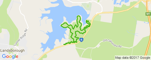 Ferny Forest Loop Mountain Biking Trail - Mooloolah