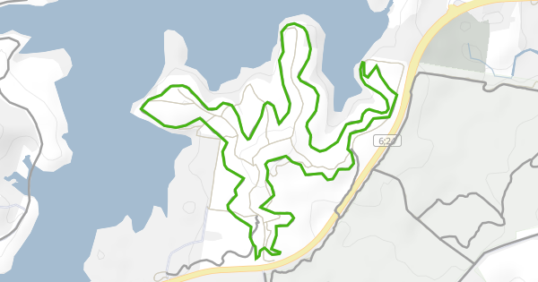 Ferny Forest Loop Mountain Biking Trail - Mooloolah
