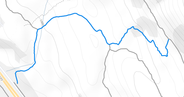 Meander Multi Trail - Montane, Canmore, Alberta