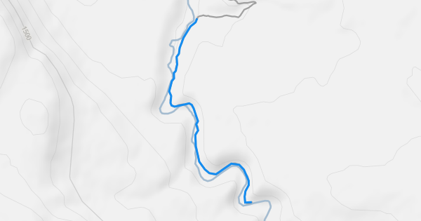 Blitzen River Trail Hiking Trail - French Glen, Oregon