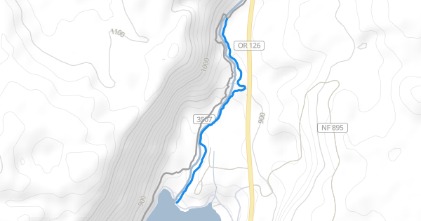 Waterfalls Loop Trail Hiking Trail - Eugene, Oregon