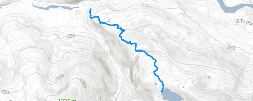 Brigade Lake Trail Hiking Trail - Ucluelet, BC