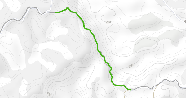 Ngunguru Coach Rd Mountain Biking Trail - Whangarei