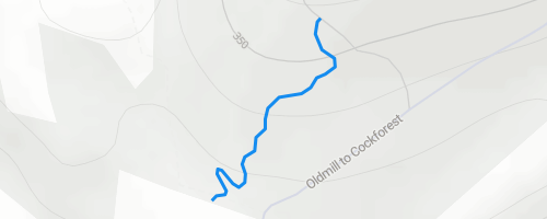 Tomnaverie Turns Mountain Biking Trail - Tarland