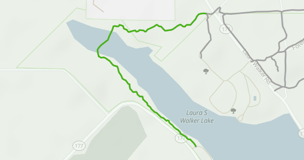 Lake Trail Multi Trail - Hoboken, Georgia | Trailforks