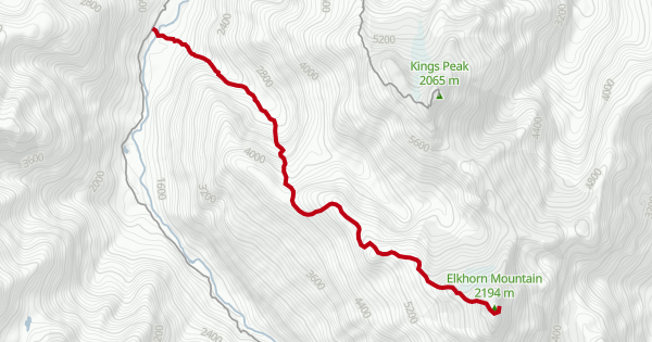 Elkhorn Mountain Route Hiking Trail - Comox, BC