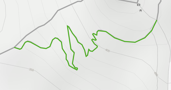 Kau Kau Southern Approach Multi Trail - Wellington