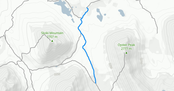 Skoki Passes Route Hiking Trail - Banff, Alberta