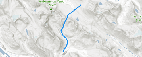 Mount Willingdon Route Hiking Trail - Lake Louise, AB