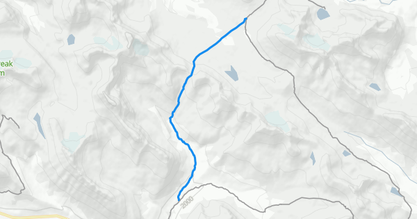 Mount Willingdon Route Hiking Trail - Lake Louise, AB