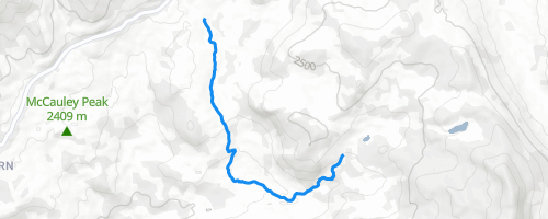 Bull Run Lake Trail Hiking Trail - Bear Valley, CA