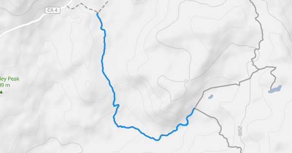 Bull Run Lake Trail Hiking Trail - Bear Valley, CA