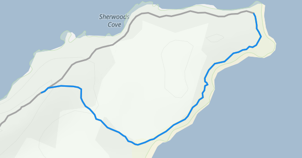 Cape Gabarus - Bear Cove Hiking Trail - Gabarus, NS