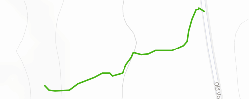 Wildcat Spring Trail Hiking Trail - Exeter, Rhode Island