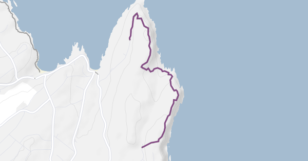 East Coast Trail - Cobblers Path (Outer Cove to Logy Bay) Hiking Trail ...