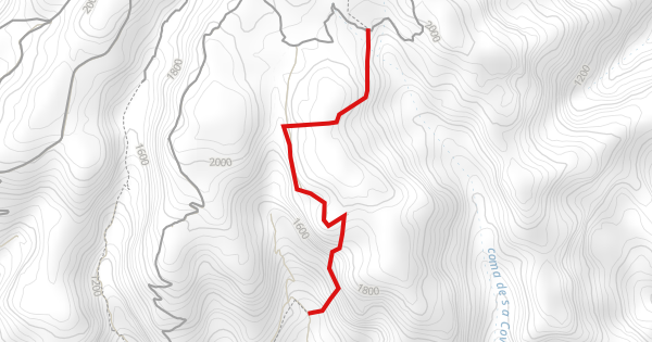 Acceso Bosque Encantado y Cas Bergandet Multi Trail - Bunyola